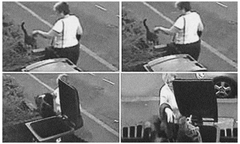 MFT #11 The Witch by Shirley Jackson (1949) – Red's Kingdom