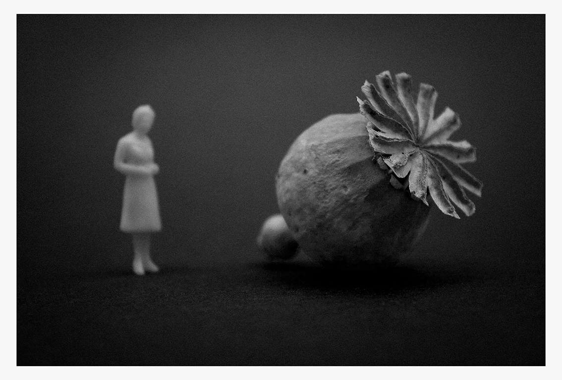 Blossfeldt's Big Show (2023) - Inspired by Karl Blossfeldt