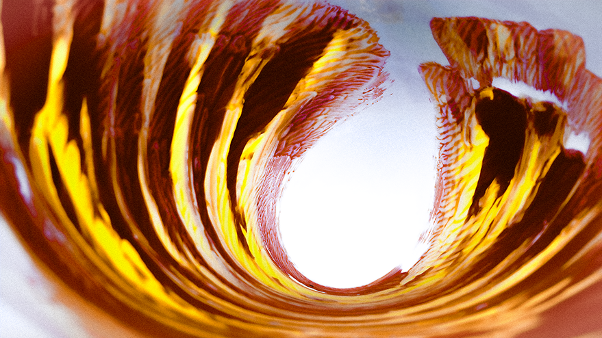 Semper Augustus (2025) Tulip-Inspired Artwork